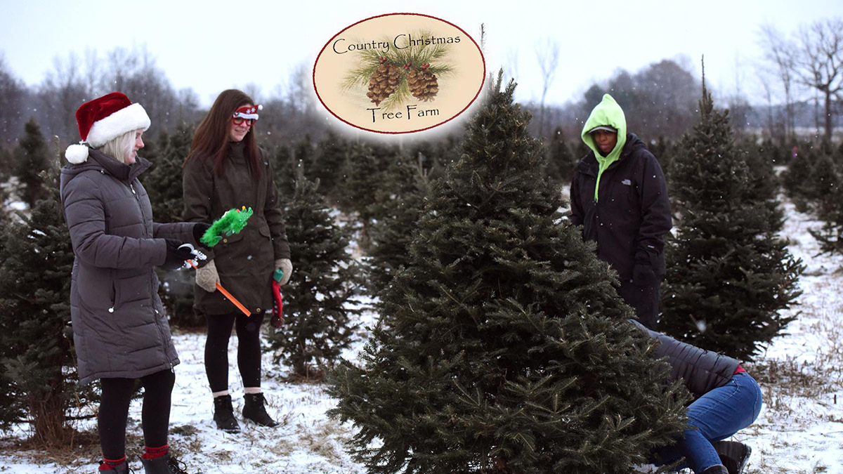 Trees & Pricing | Country Christmas Tree Farm & Gifts